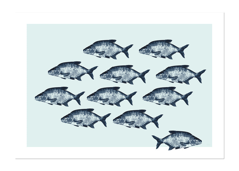 Fish Poster - Gathered Goods Collection. – Pine Ave. studios - Posters